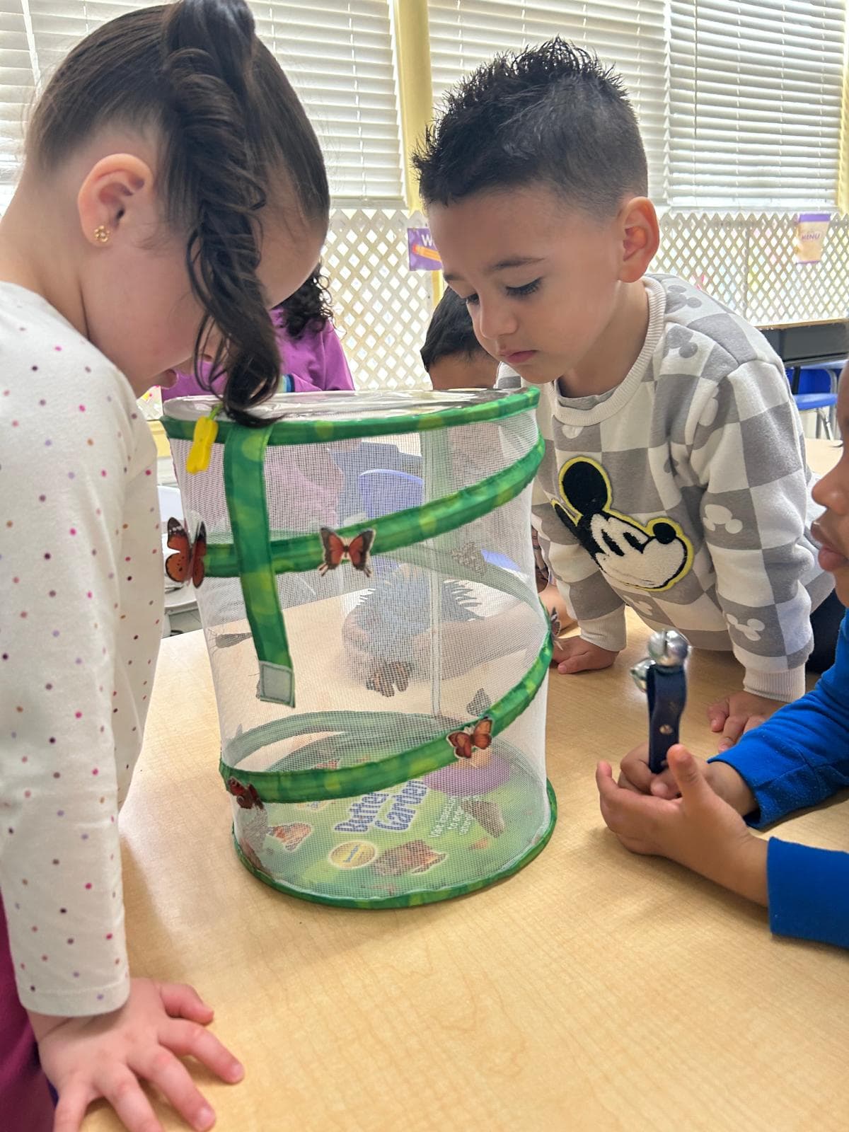 Little Explorers Learning Center - Premier Daycare & Preschool in Bergenfield, NJ